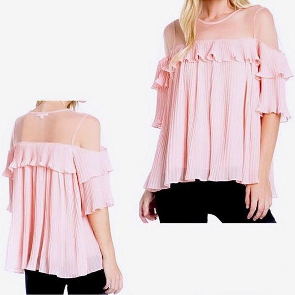 Tops | Newpink Mesh Pleated Top With Ruffle Shoulder Cottagecore | Poshmark